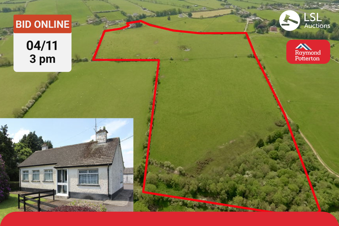 Raymond Potterton - Drumbaragh, Kells, Co.Meath - LSL Auctions News