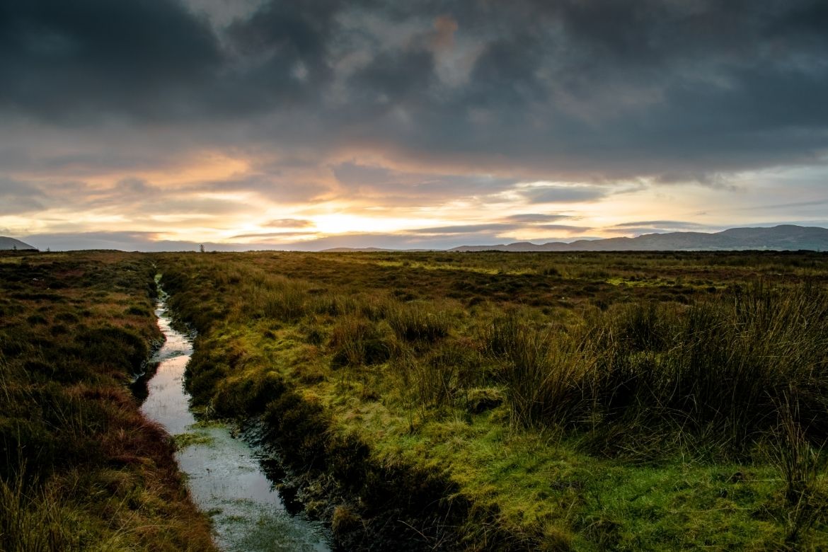 €20.6 million LIFE IP Wild Atlantic Nature project launched - LSL ...