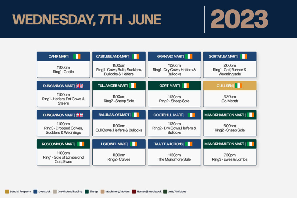 Online Auctions – Wednesday’s Calendar 07/06/2023 - LSL Auctions News